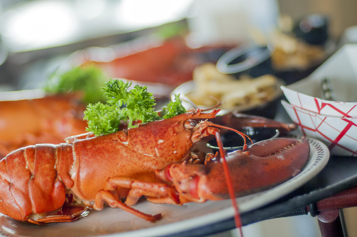 The Best Places for Lobster on Cape Cod | Where to Eat