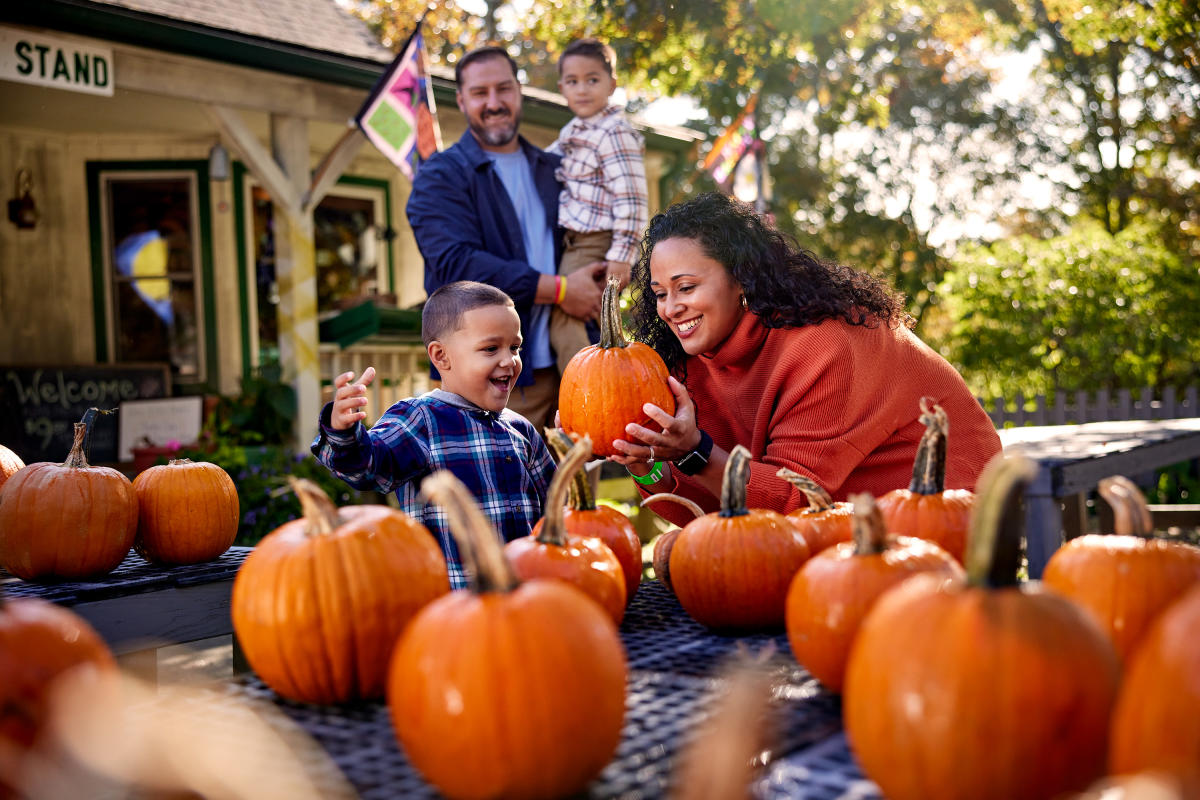 Farms & Farmers Markets on Cape Cod | Cape Cod Fresh Food