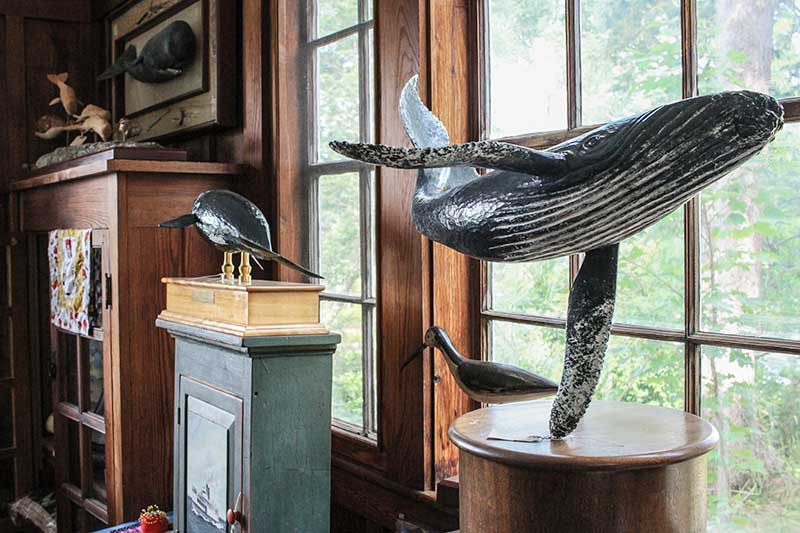 Explore Cape Cod to your Arts Content