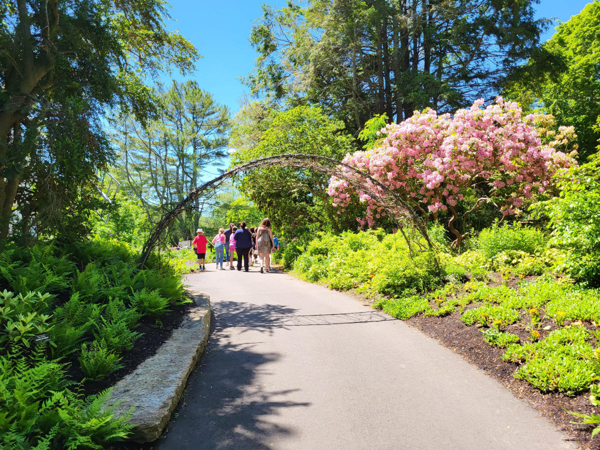 7 Reasons To Love Spring on Cape Cod | Outdoor Activities