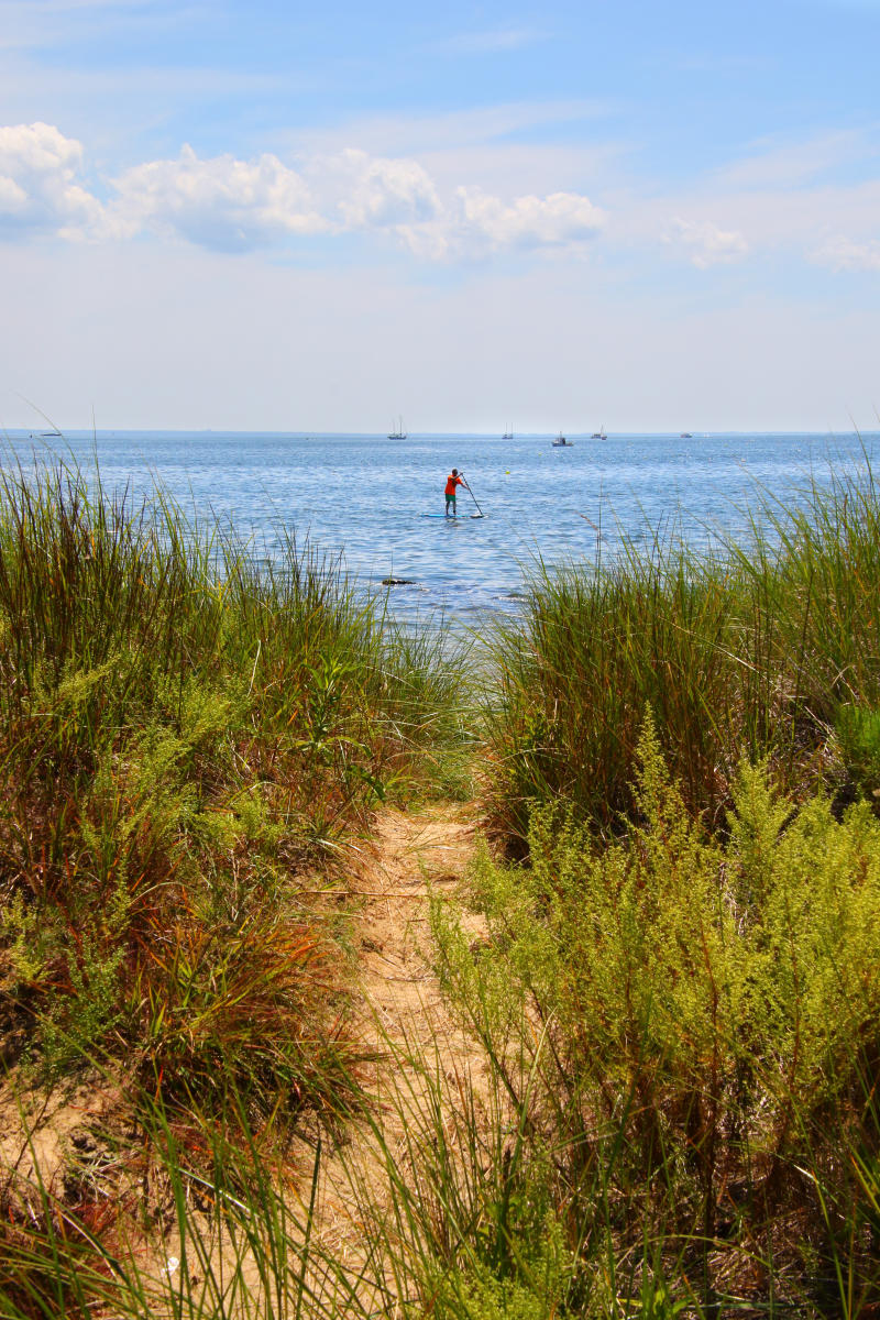 Ocean Adventures on Cape Cod | Ocean Activities on Cape Cod