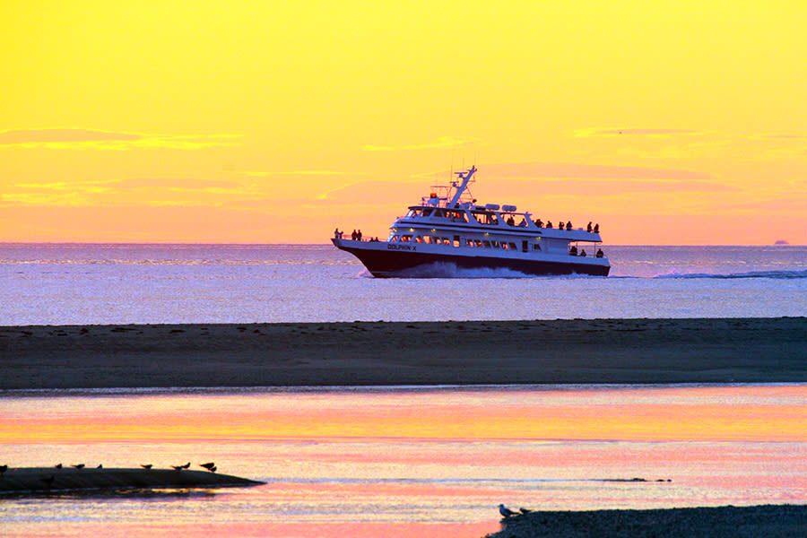 Cape Cod Road Trip: Provincetown