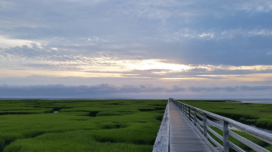 Cape Cod Road Trip: Yarmouth