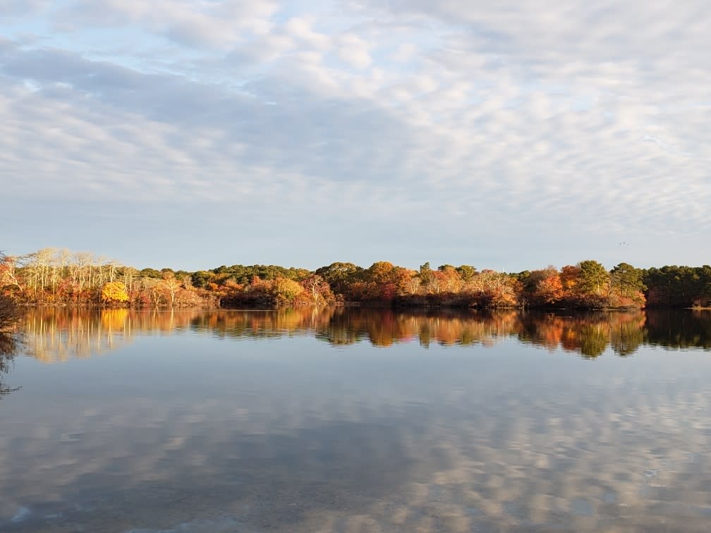 The Amazing Fall Colors on Cape Cod