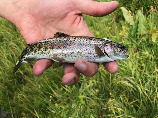 October Surprise in Casper Wyoming | Hunting, Fishing & Nature