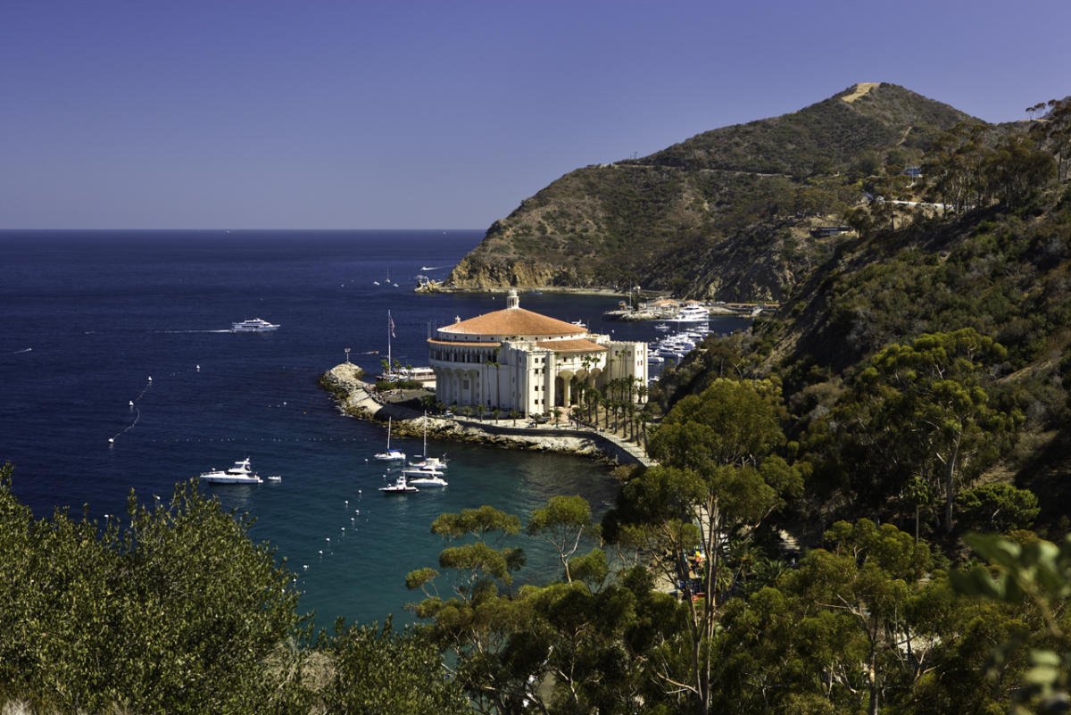 Catalina Island Facts | Location & Wildlife | Visit Catalina Island