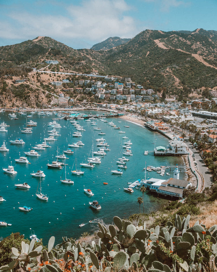 Visiting Catalina Island California USA Visiting Catalina Island California USA