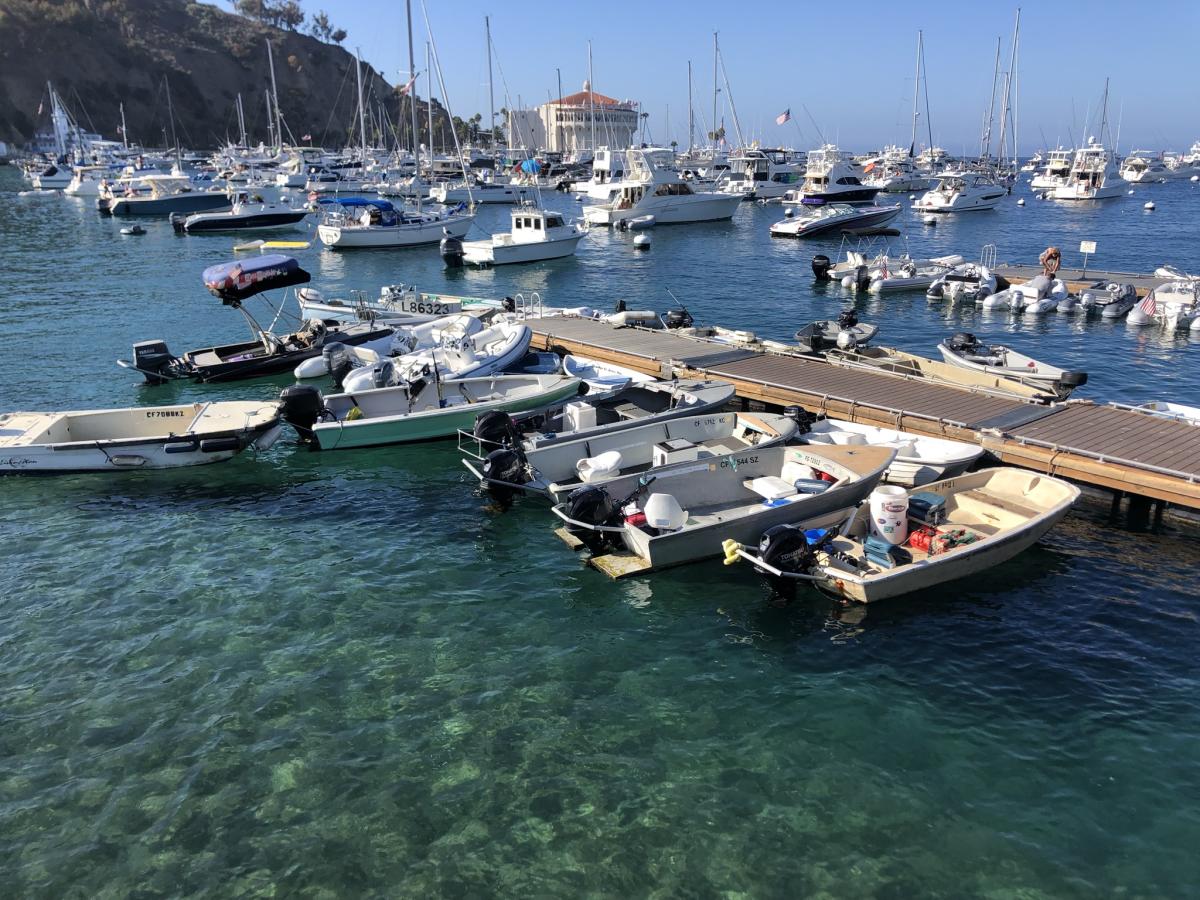 See What's New on Catalina Including Tours, Events and Special Offers