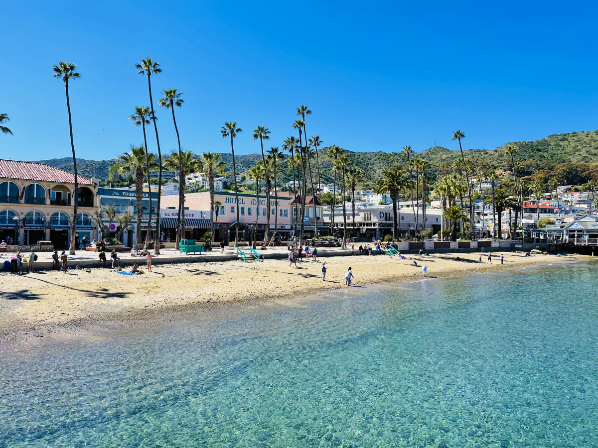 26 Things to Do on Catalina Island in 2026