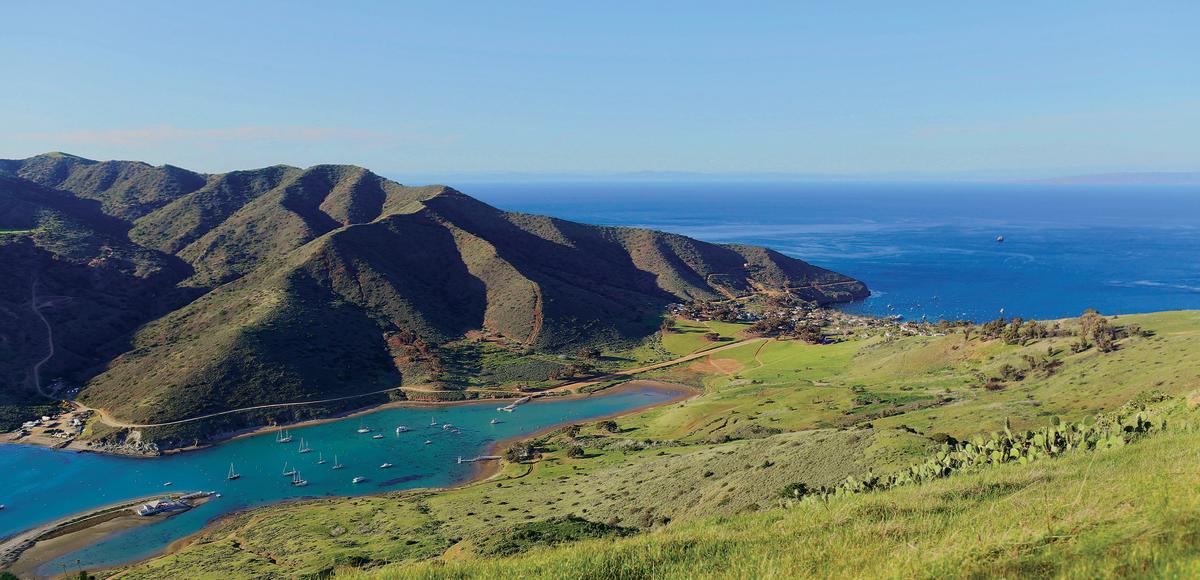 11 Reasons to Visit Two Harbors on Catalina Island