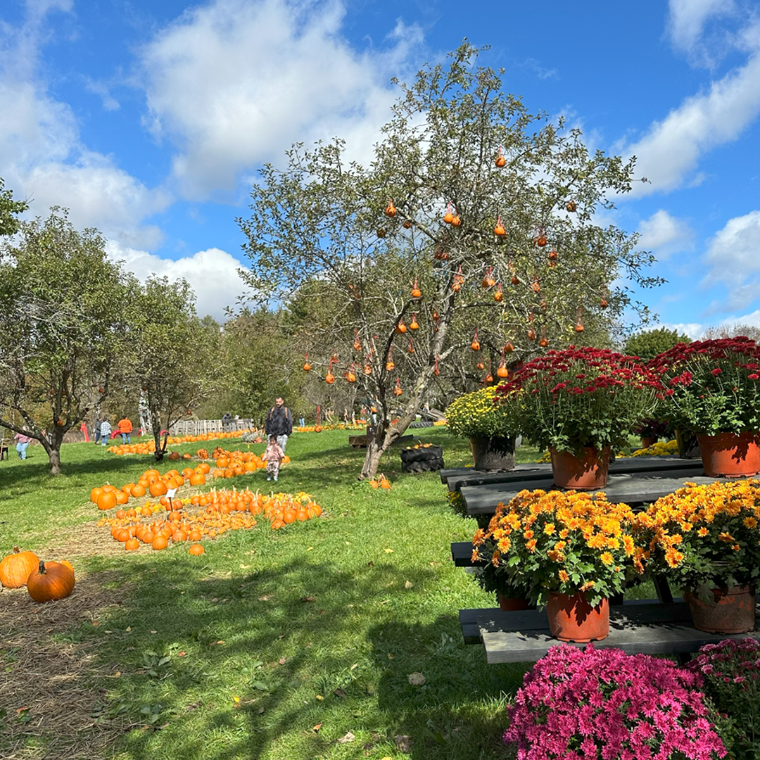 A Guide to Farms, Orchards, Vineyards & Farmer's Markets in Central ...