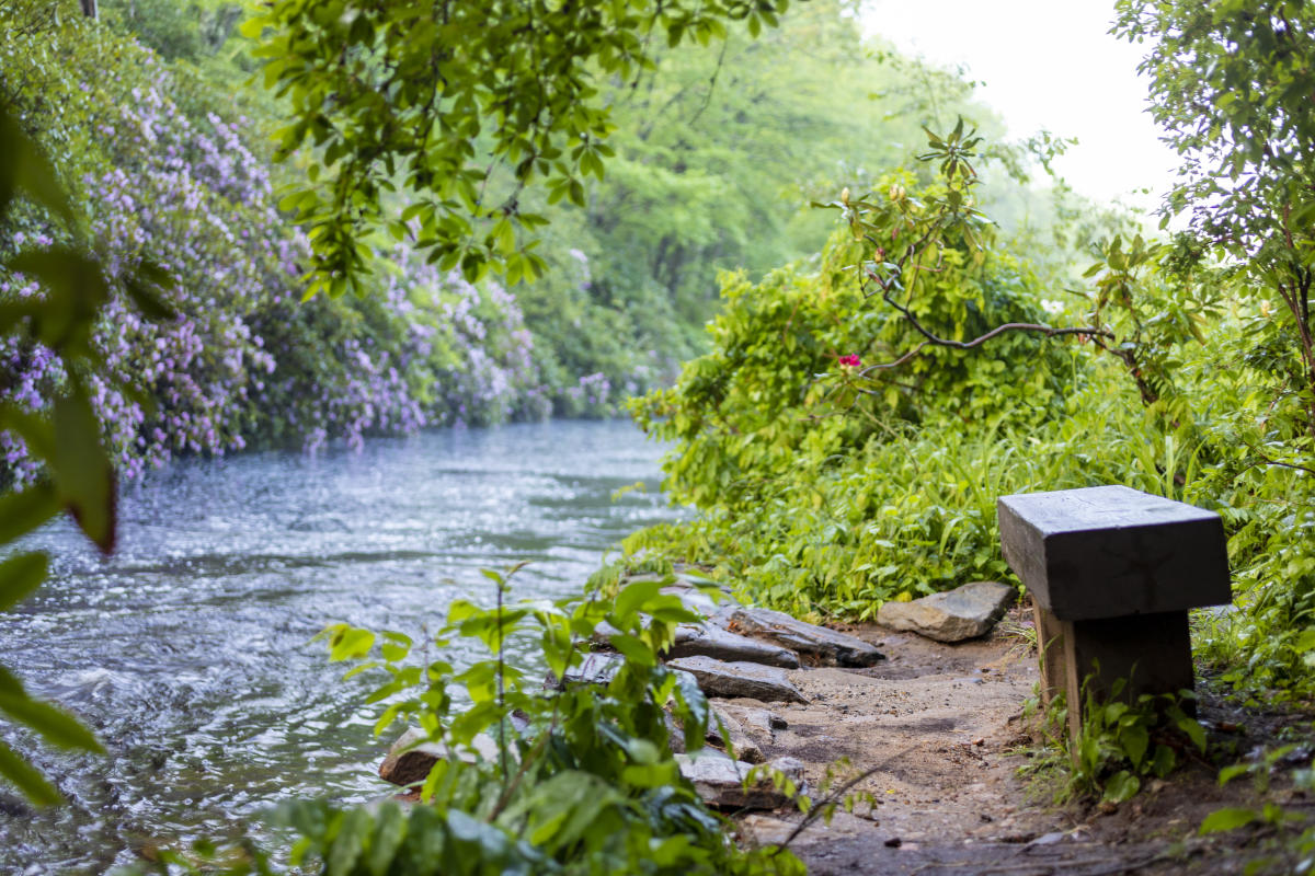 Spring in Central Massachusetts