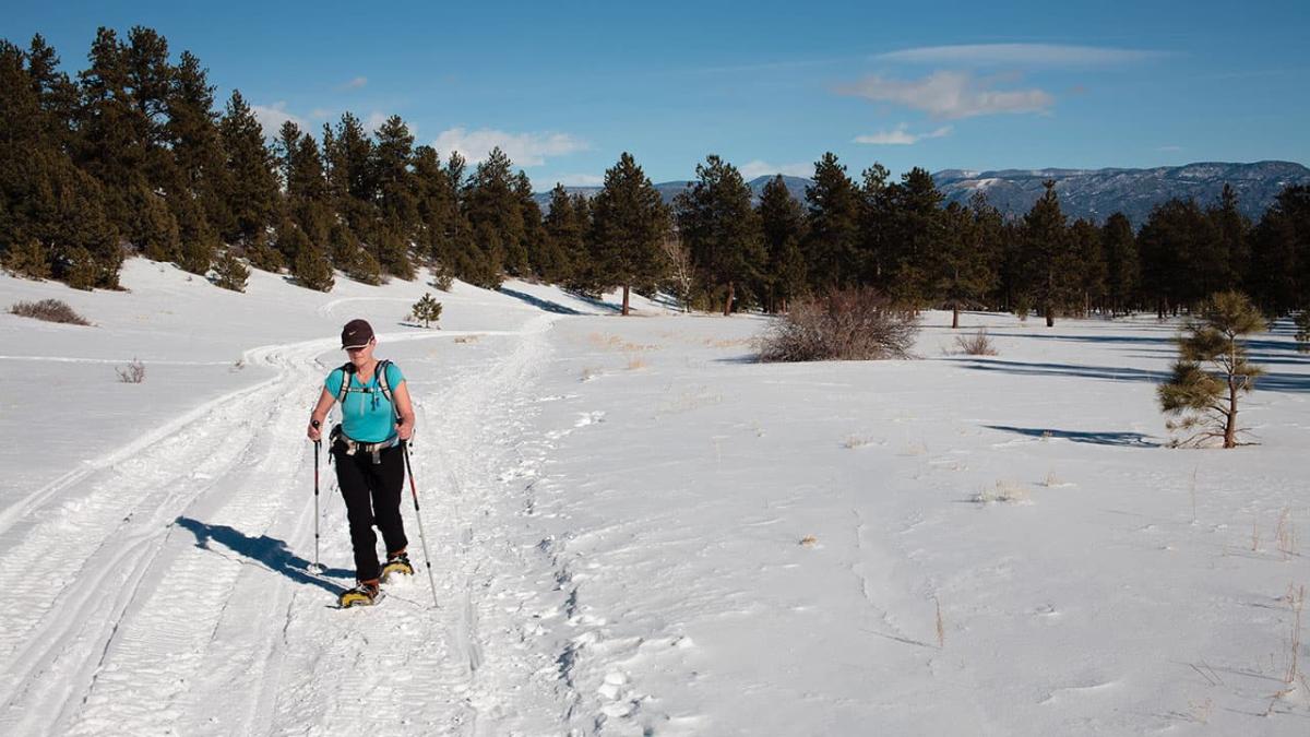 Raspberry Gulch Winter Trail - Buena Vista & Salida, Colorado Vacation