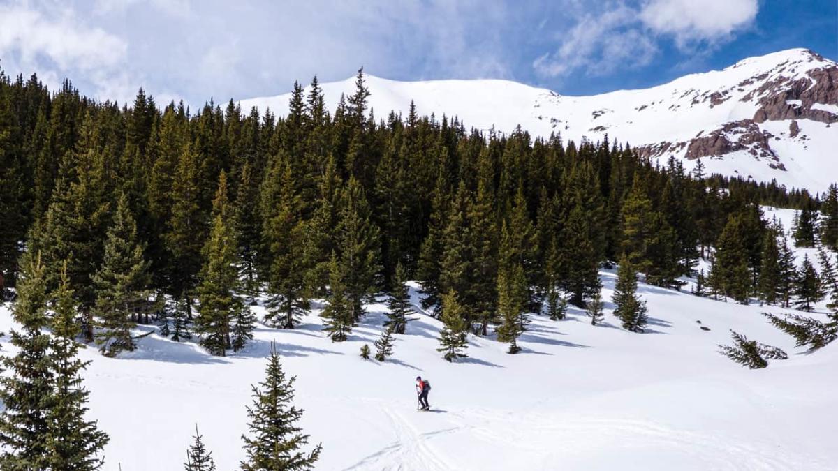 Graham Gulch Snowshoe & Nordic Trail near Buena Vista, Colorado