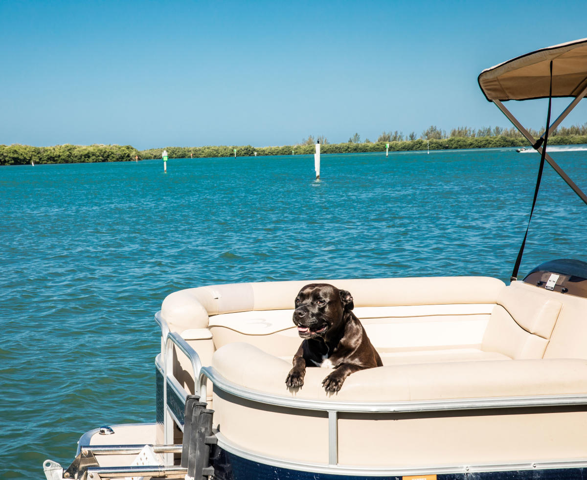 Spring Boating & Sunset Cruises in Punta Gorda, Florida