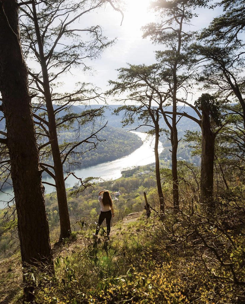 Hiking to Edwards Point: One of Chattanooga's Best Day Hikes