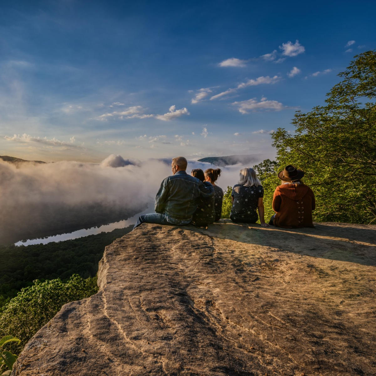 Signal Mountain Neighborhood Guide | Panoramic Views & Waterfalls