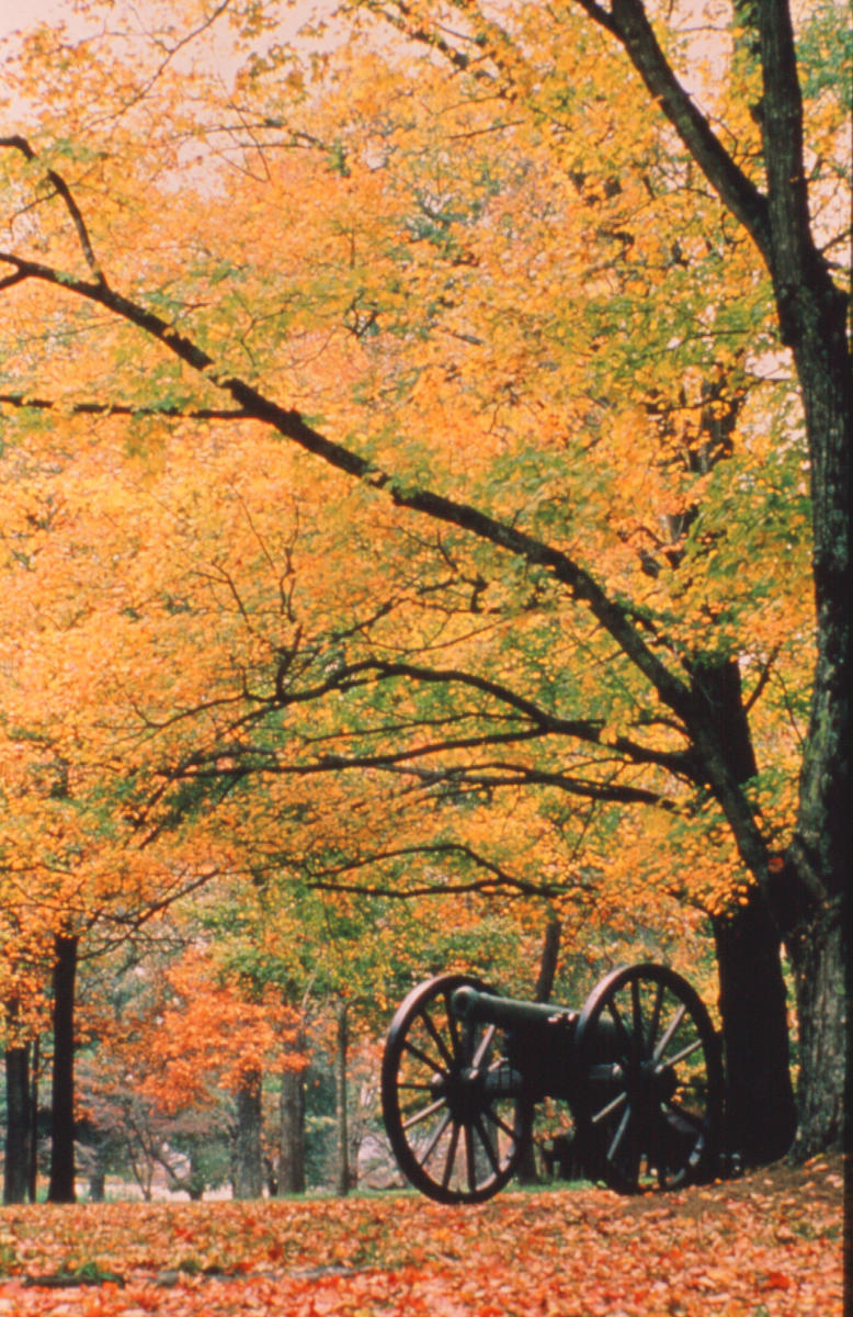 The Best Things About Fall in Chattanooga: What to Know, Where to Go