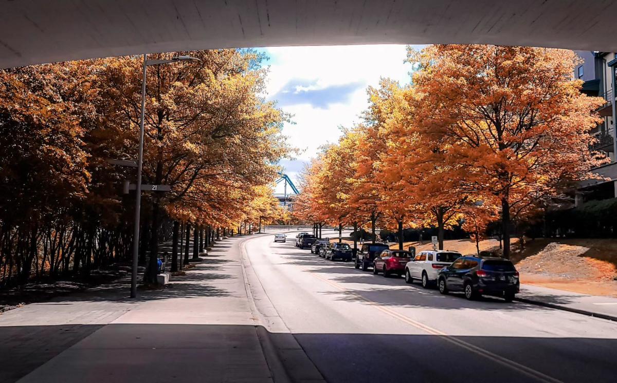 Fall in Chattanooga, TN | Seasonal Events & Trip Planning