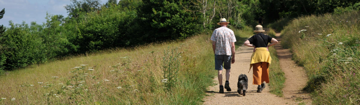 Top Seven Local Walks