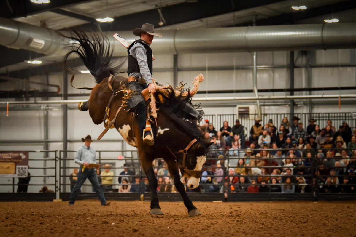 Indoor Winter Rodeo in Cheyenne, Bucking Bronc Futurity Match The ...