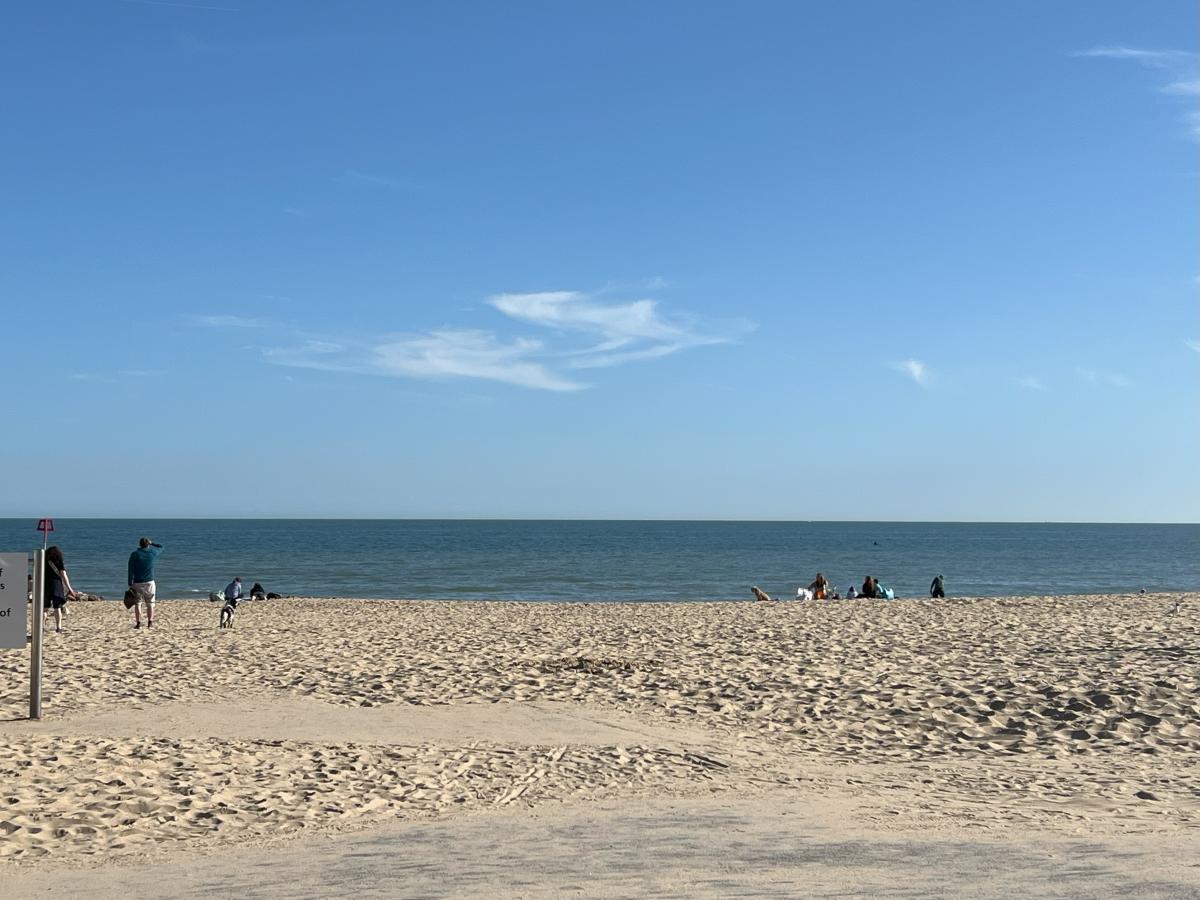 Beach Safety - Christchurch