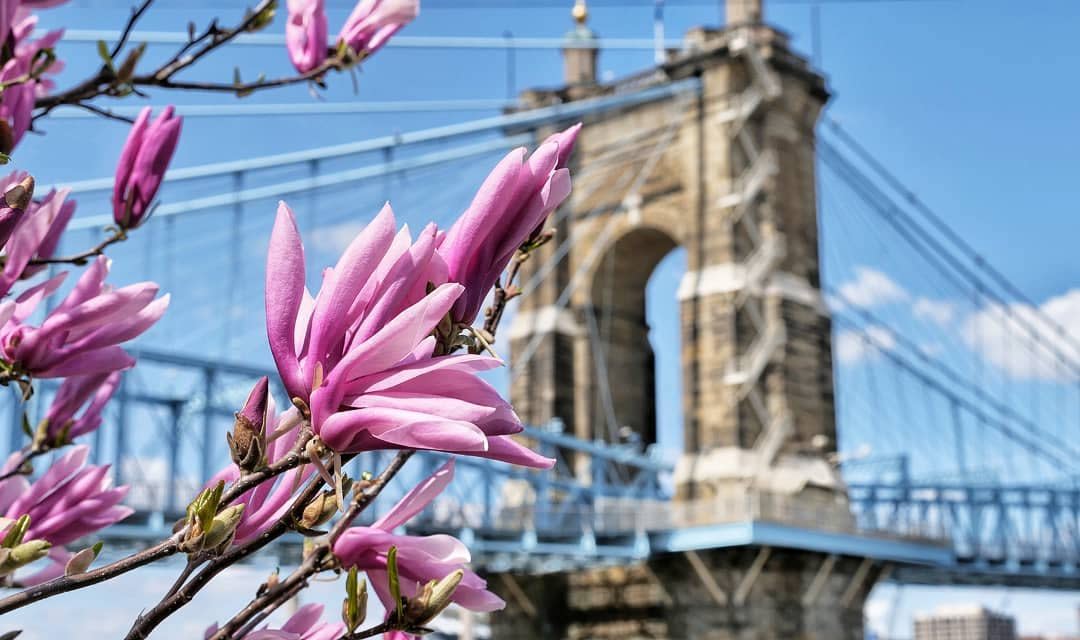 Things to do this week in Cincinnati | Visit Cincy