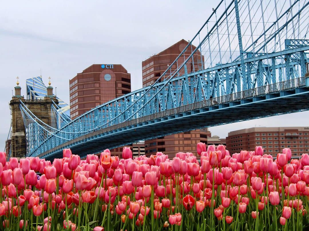 Zartico Recognizes meetNKY as a 2024 Data Hero