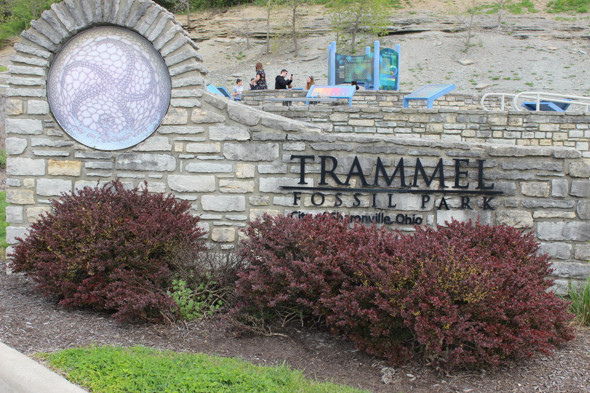 Explore Trammel Fossil Park on the Ohio Valley Fossil Trail