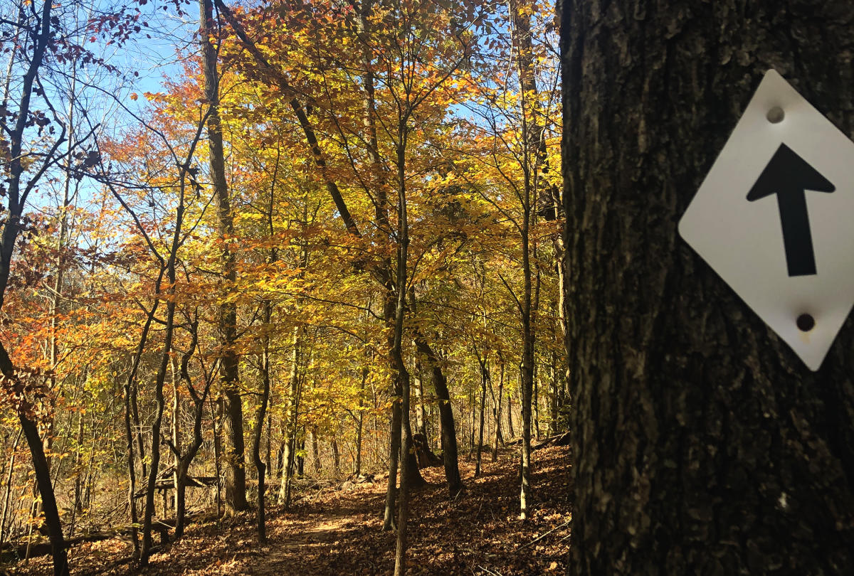 7 Trails with Fantastic Fall Views