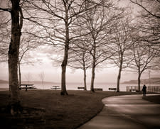 2011 Pierce County Fall Photo Contest