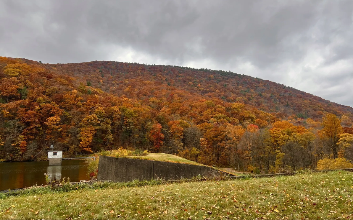 Base | Goat Path Trail Zindel Park