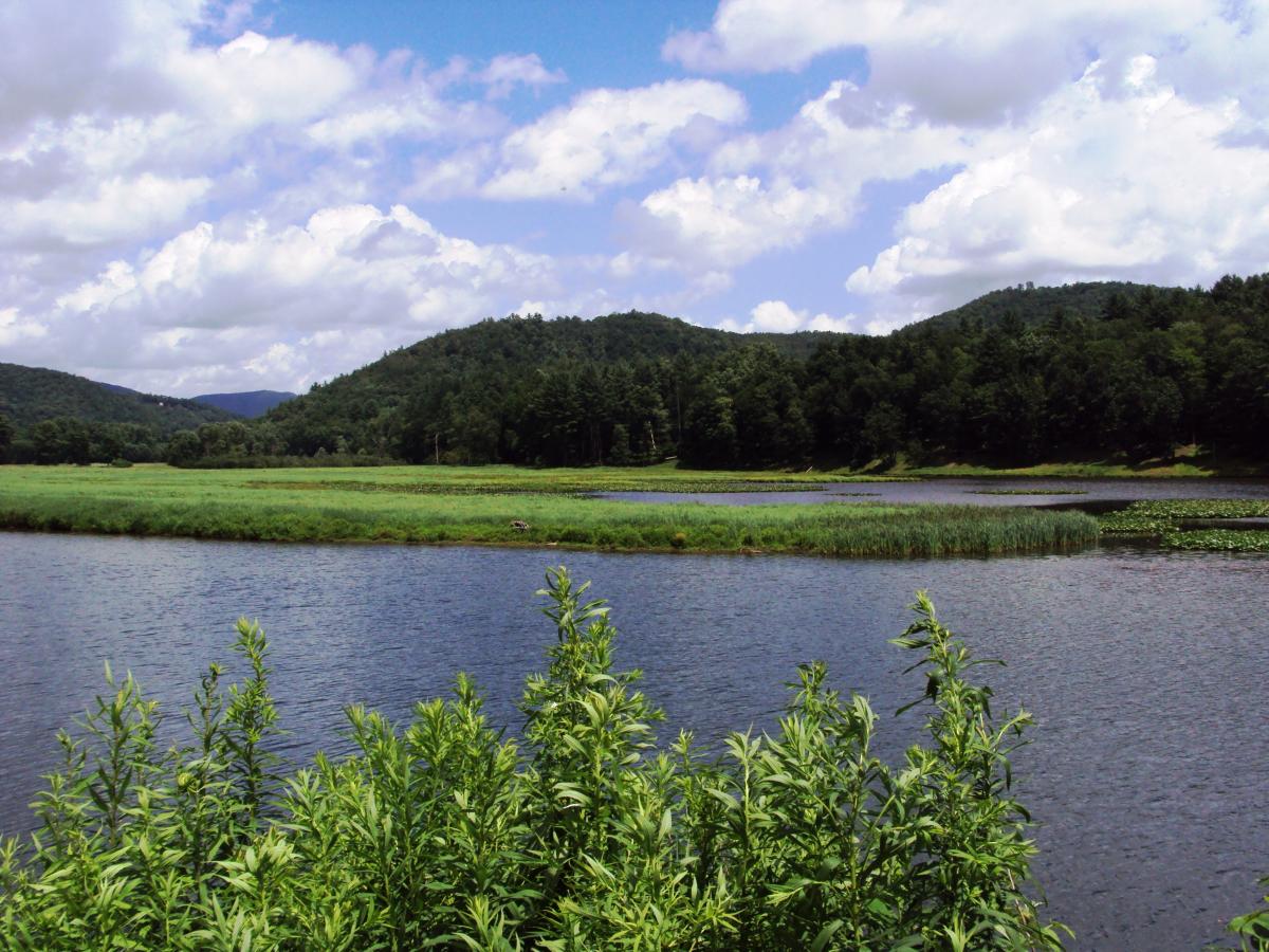 Discover the Top Favorite Camping Spots Along Rivers and Streams in ...