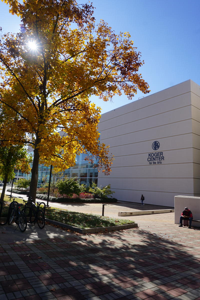 Fall Activities Columbia SC | Join in the Festive Fun