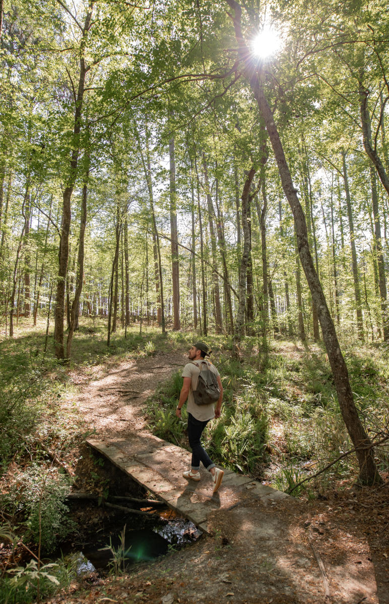Bombasin Land Trail | Visit Columbia County, Georgia