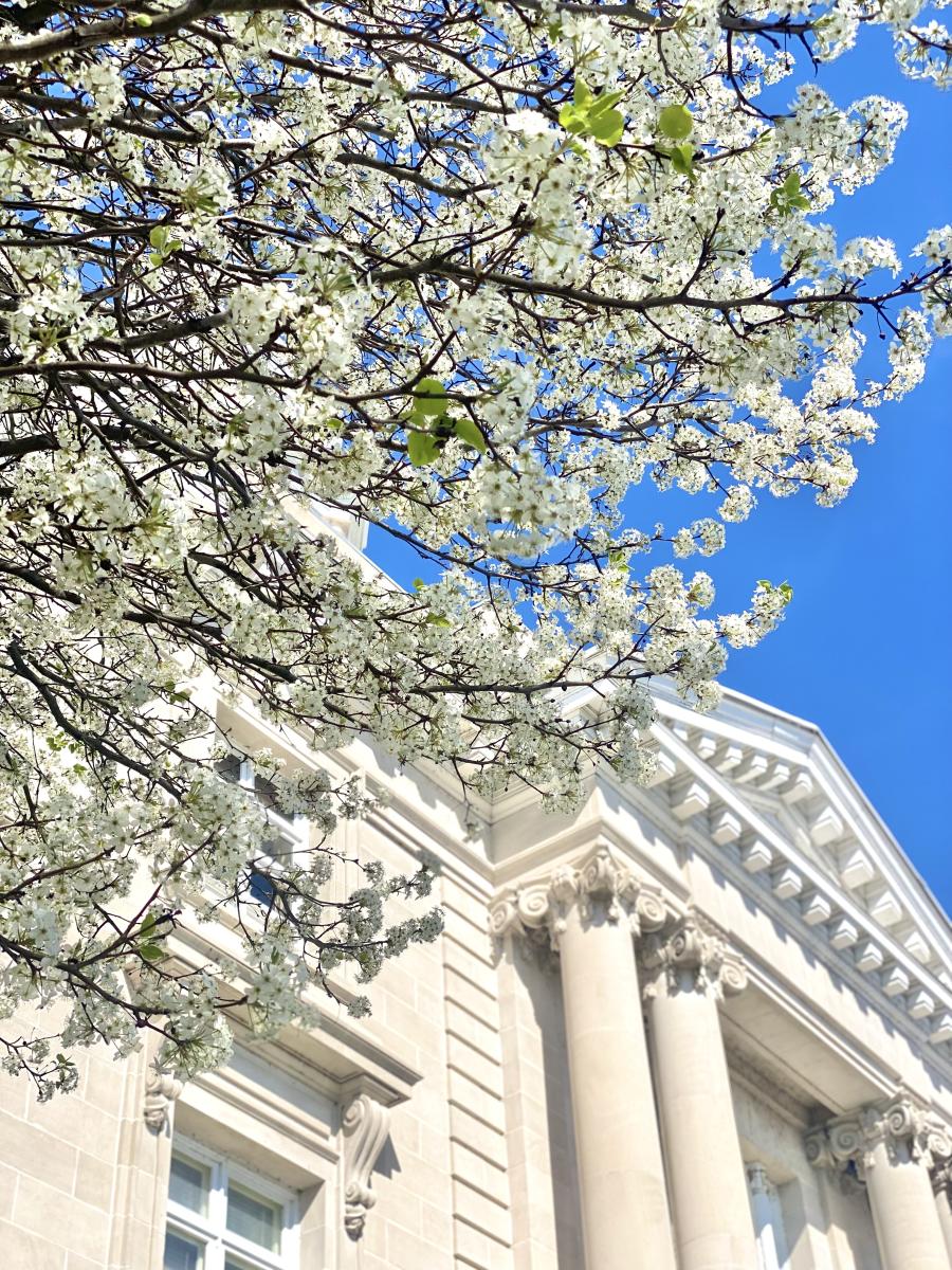 Top Reasons to Plan Your Spring in Columbia, TN