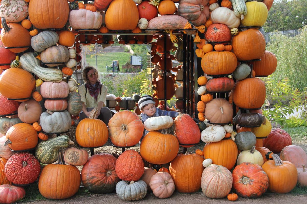 Can't Miss Fall Events in Columbus, OH