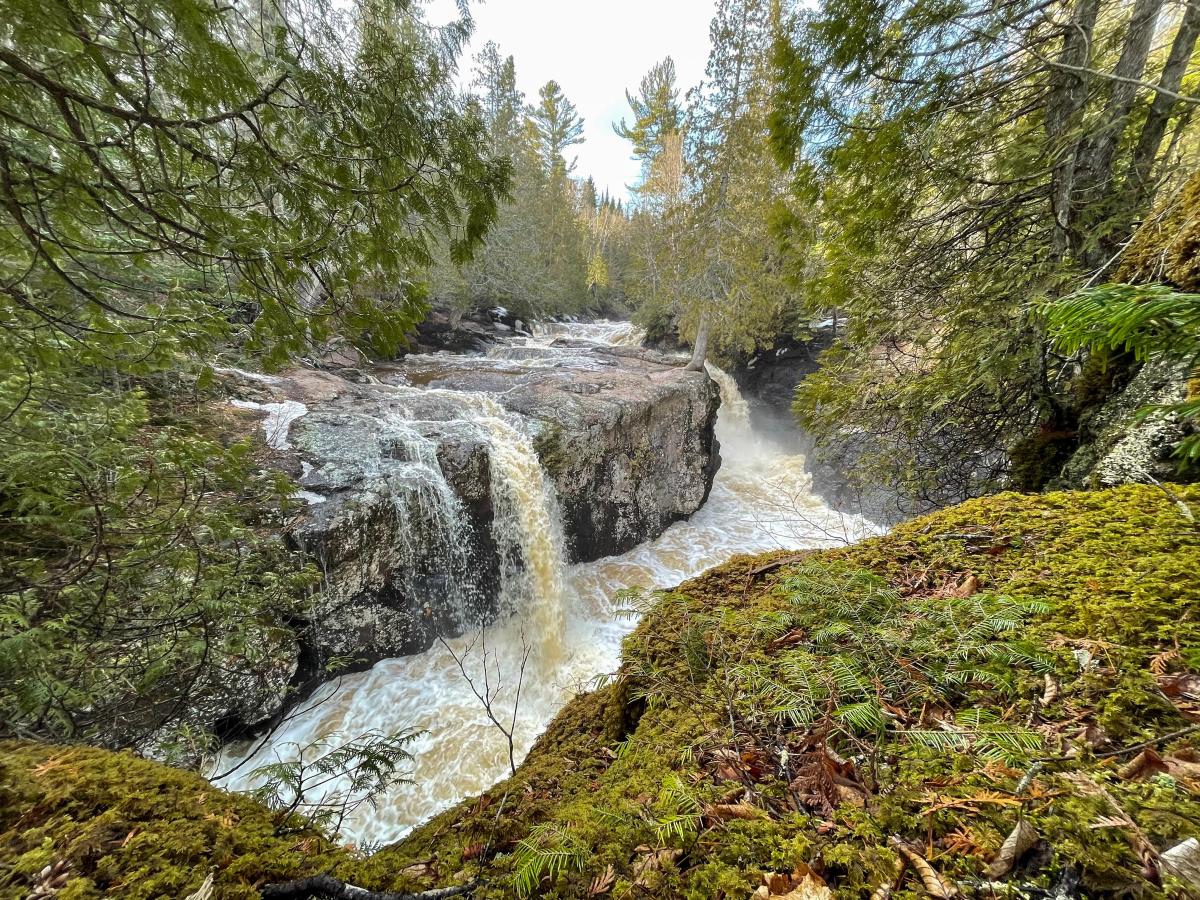 It's finally spring in Cook County - 2022