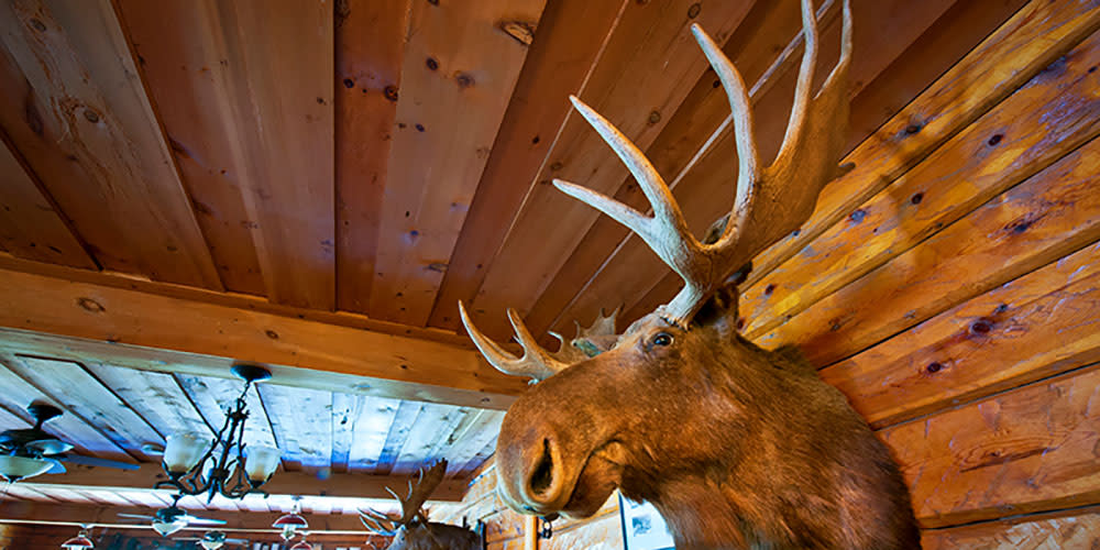 Unique Souvenirs Await: Explore Cook County Gift Shops