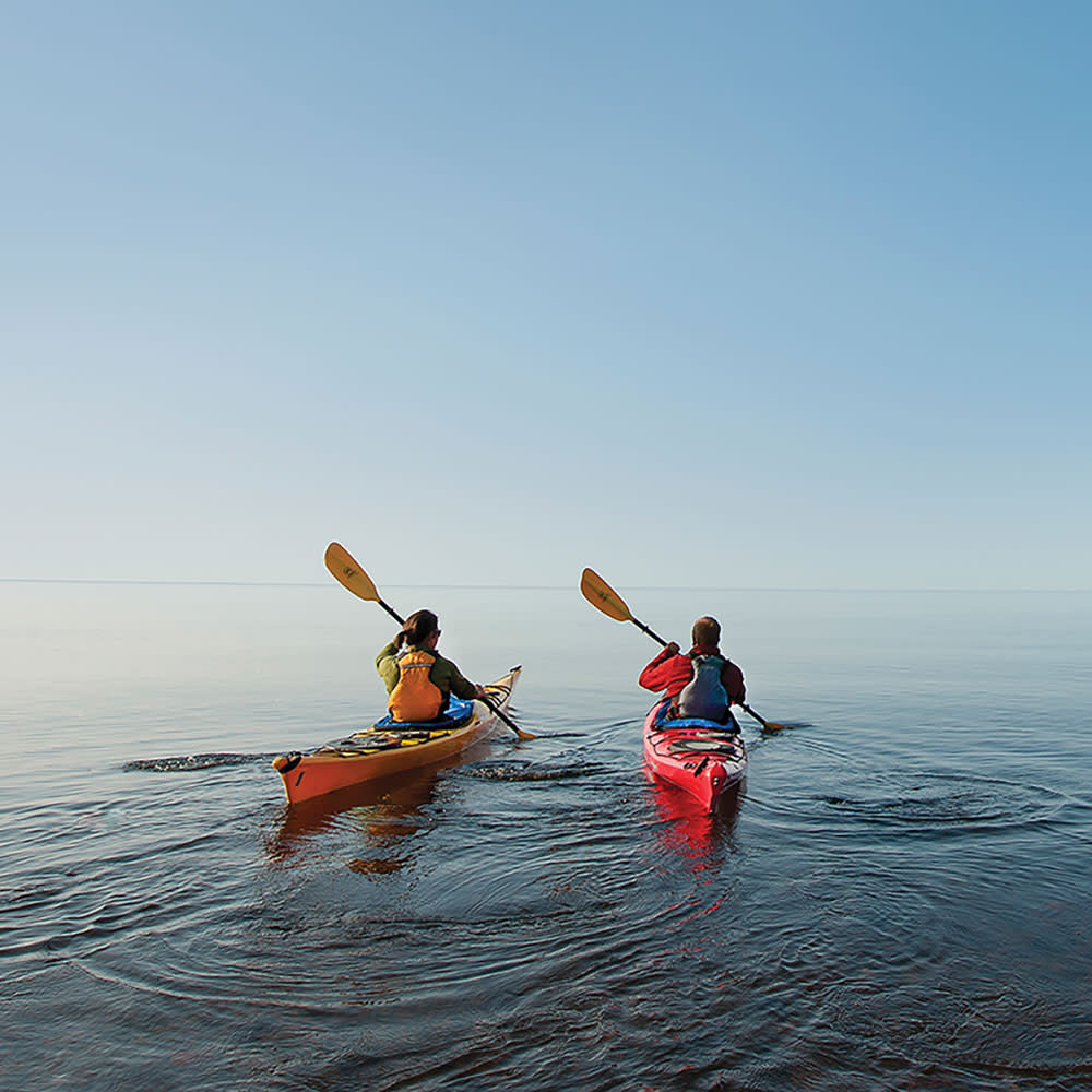 Boost Your Cook County Business: Benefits of Visit Cook County Membership