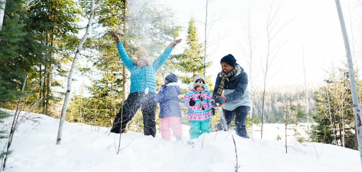 Cook County Maps & Trails: Find Your Adventure All Year Round