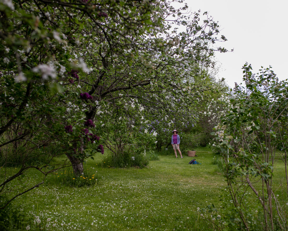 Explore Cherry Valley: Rich History, Vibrant Arts, and Charming Shops