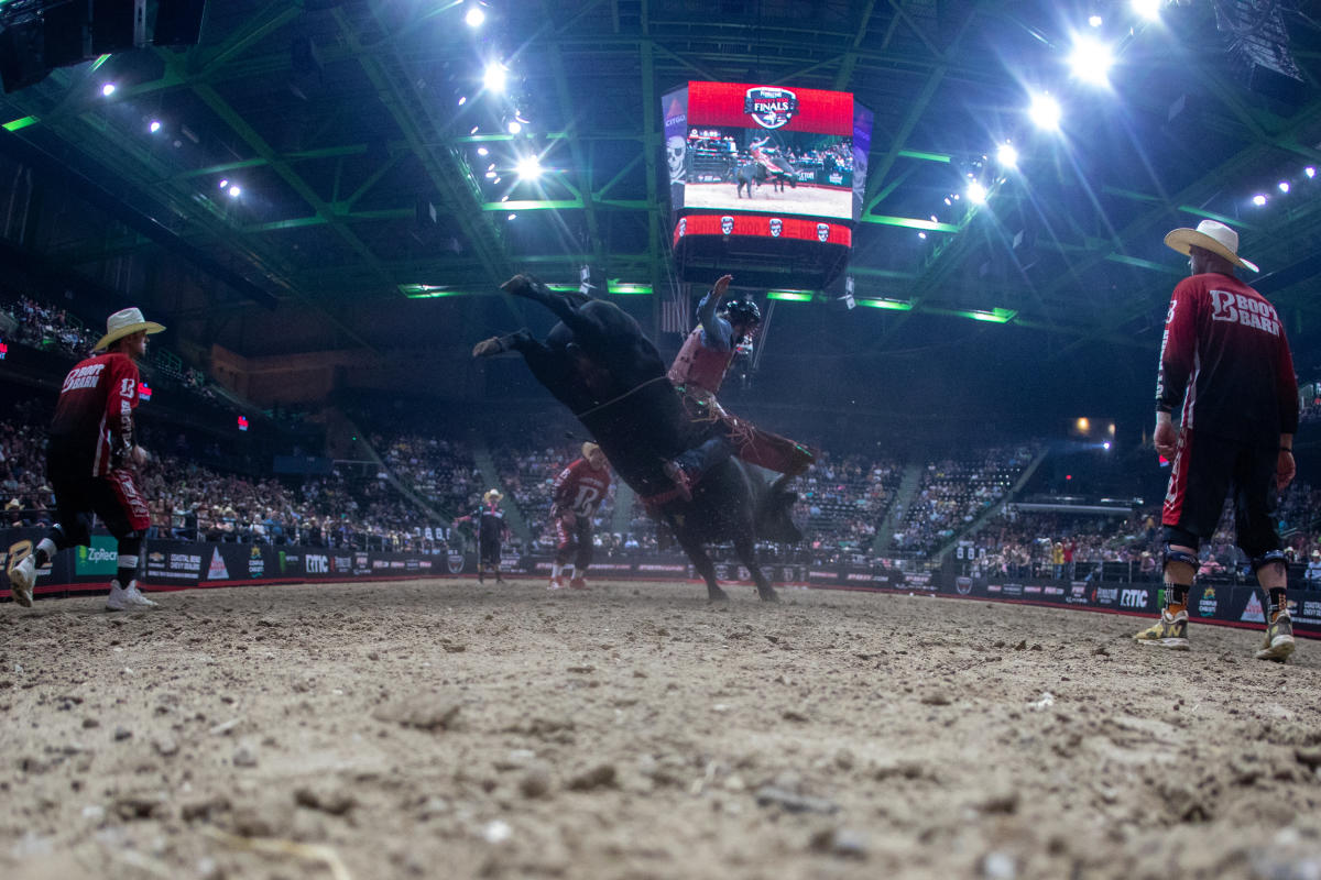 Know Before You Go to Buc Days