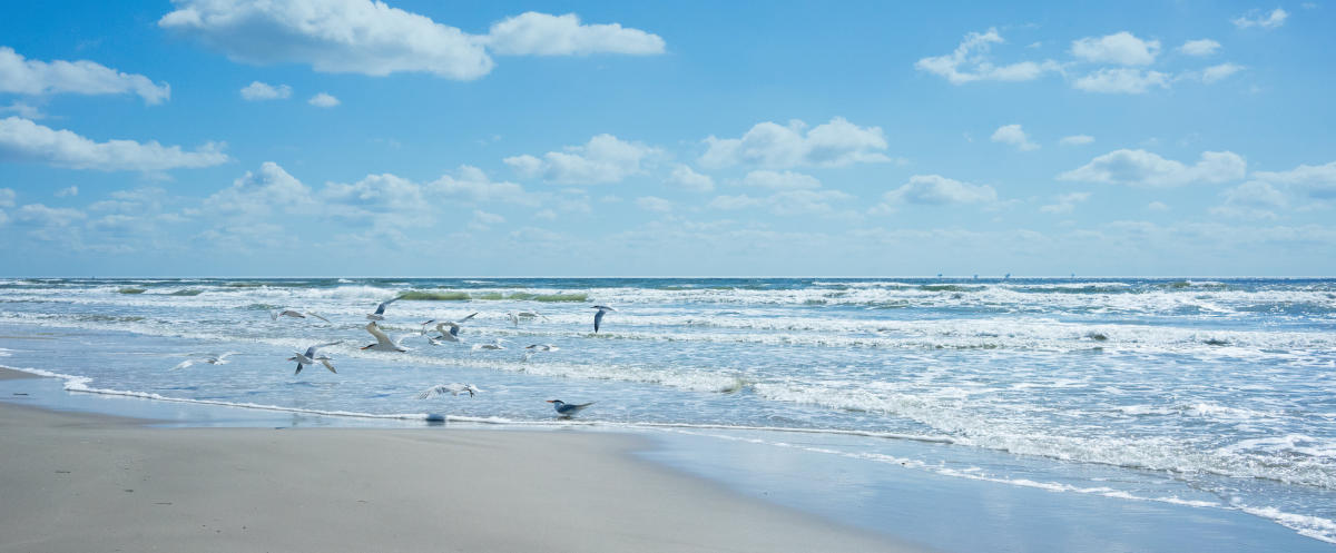 Travel + Leisure: 7 Gorgeous Gulf Coast Beaches From Texas to Florida
