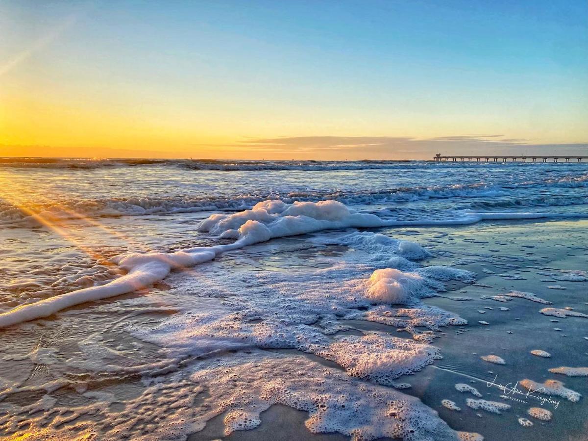 Winter Activities in Corpus Christi, Texas