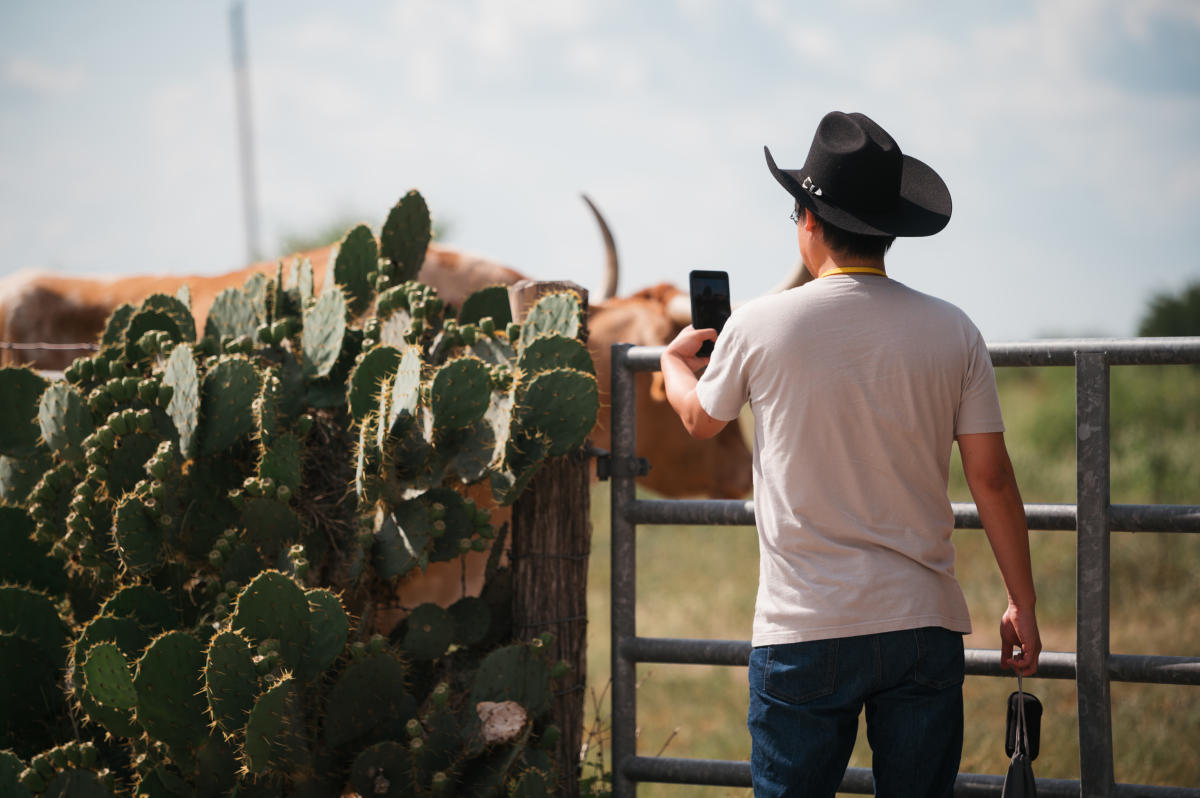 Explore King Ranch in Kingsville