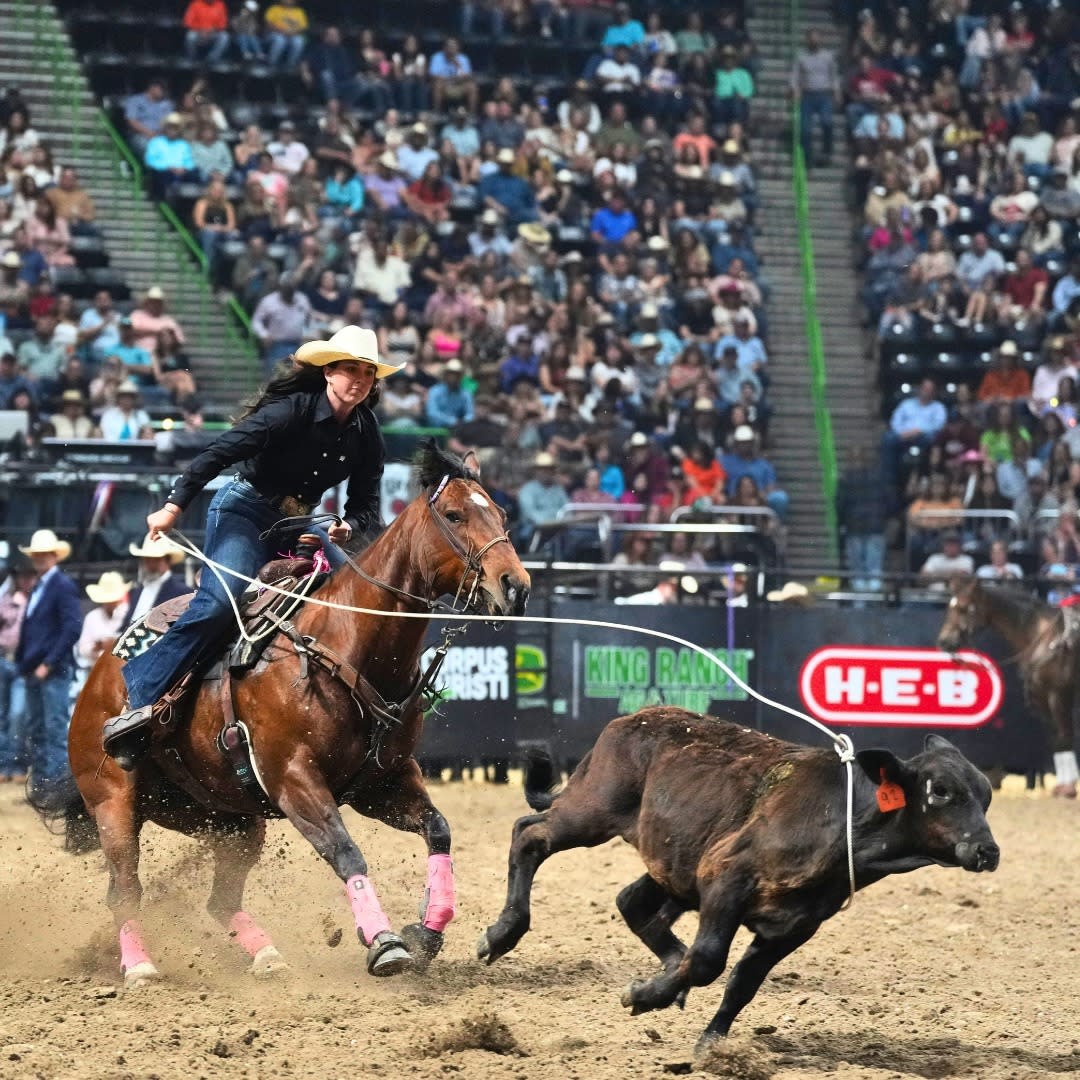 Saddle Up for the Buc Days Rodeo