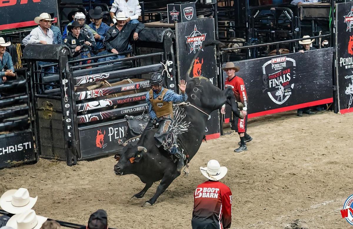 Buc Days & Rodeo Corpus Christi