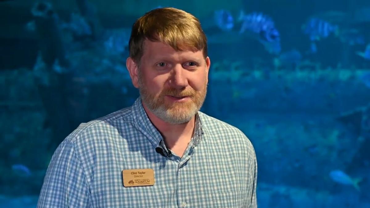 Crystal Coast Tales from the Tides - Clint Taylor, NC Aquarium at Pine Knoll Shores Director
