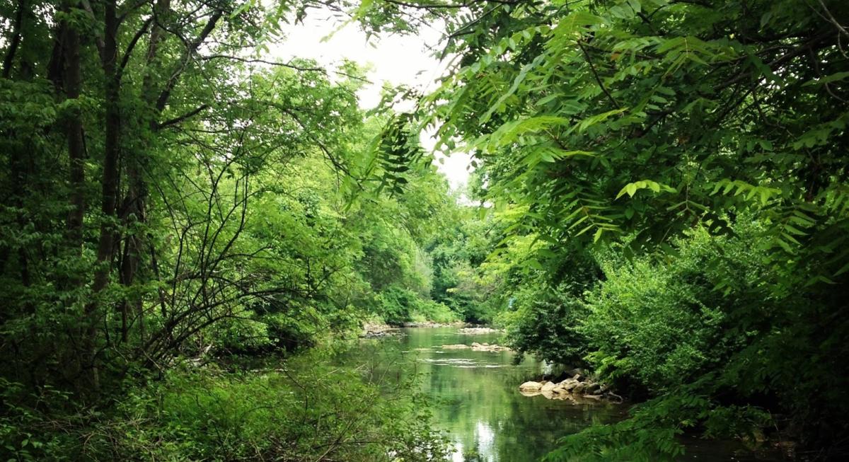 LeTort Nature Trail - Where Urban Living & Wildlife Converge